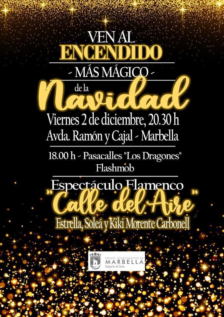 Inauguración de las luces de Navidad San Pedro Alcántara y Marbella - marbella-sanpedro.com