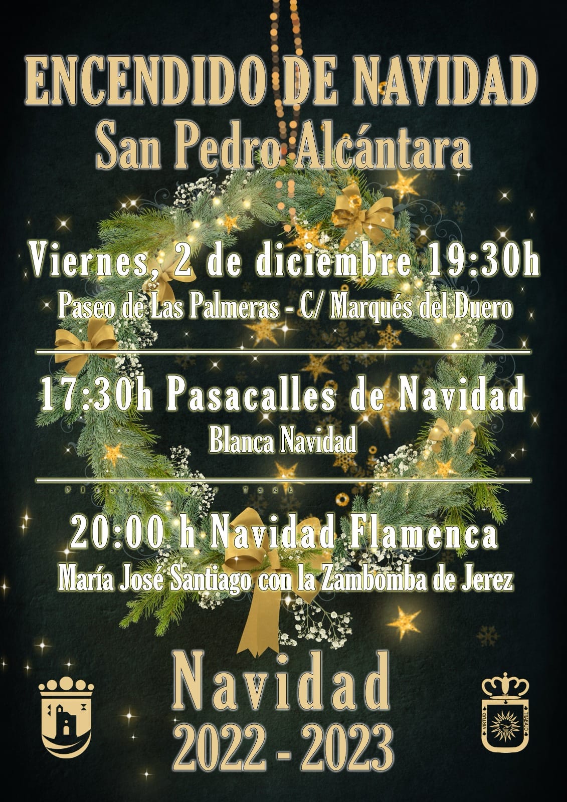 Inauguración de las luces de Navidad San Pedro Alcántara y Marbella - marbella-sanpedro.com